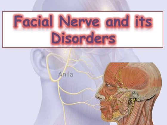 Clinical examination of cranial nerves | PPT