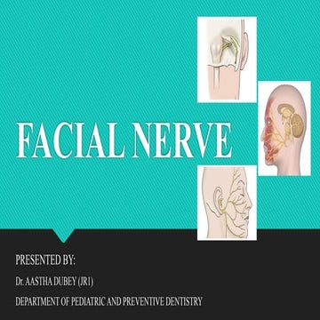 ICH GUIDELINES | PDF