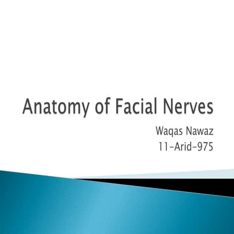 Facial nerves | PPTX