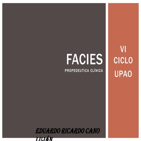 TIPOS DE FACIES | PPTX