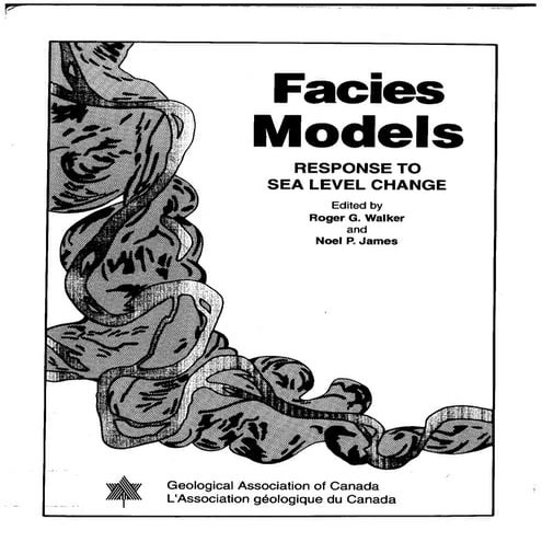 Facies models | PDF