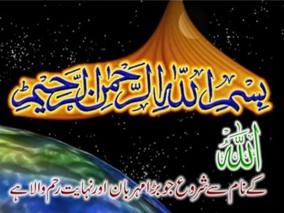 Passive and Active Transport | PPT