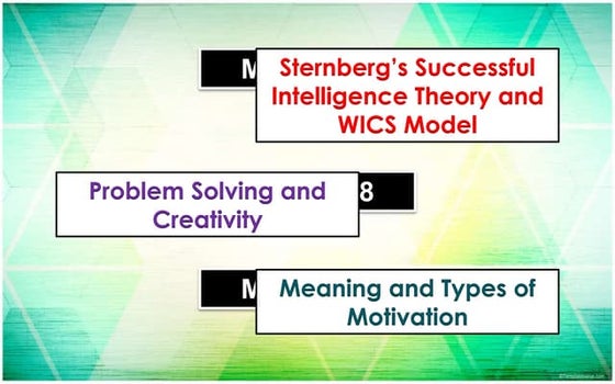Learning theories in mathematics | PPT