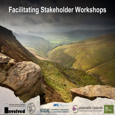 Facilitating workshops | PDF
