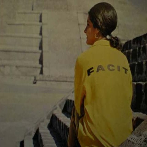 Facit, Expansion, Complexity And Growth | PPT