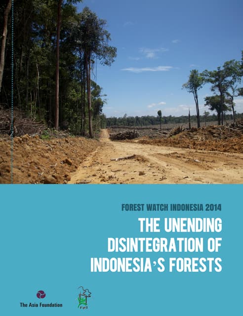 Provincial and local forest policy review | PPT