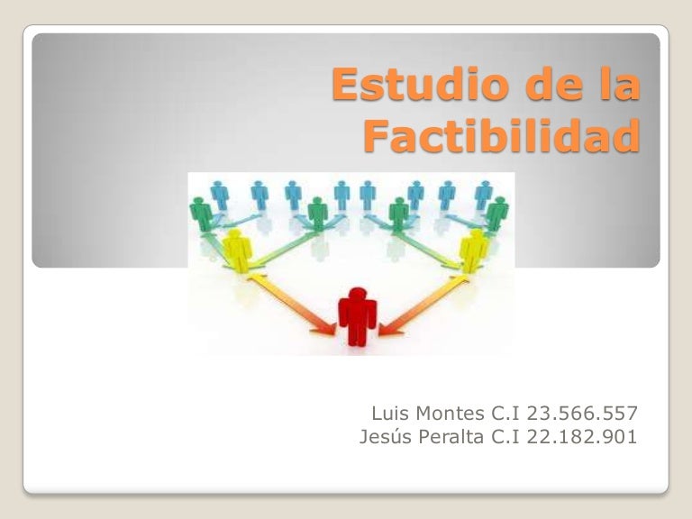 Guia de factibilidad