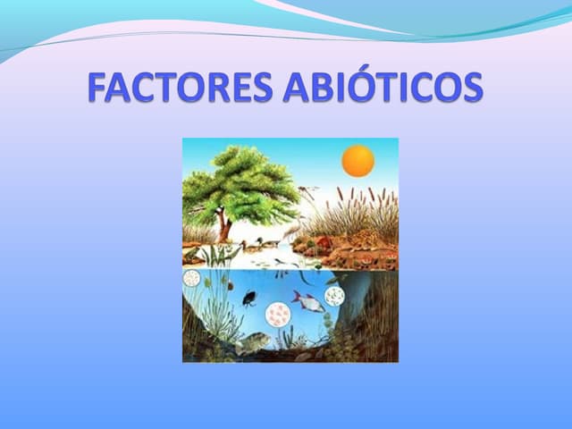 Dibujo De Factor Abiótico