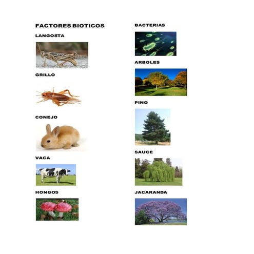 Factores Bioticos Docx