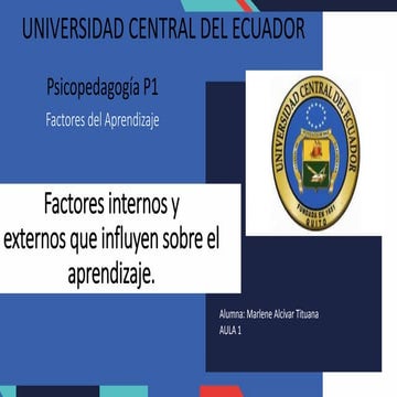 Factores internos y externos | PPTX