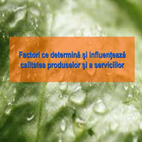 factorii care influenteaza calitatea.ppt
