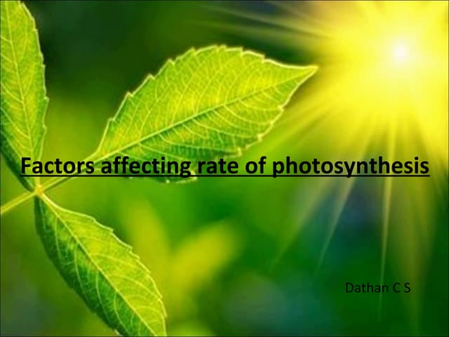 Factors affecting photosynthesis | PPTX