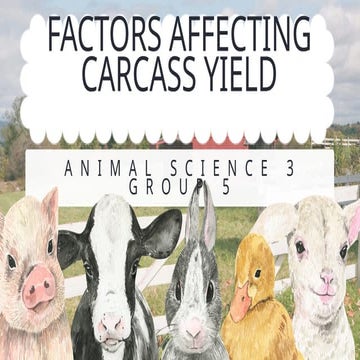 FACTORS AFFECTING CARCASS YIELD of animals | PPTX