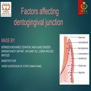 Factors affecting dentogingival junction | PPTX