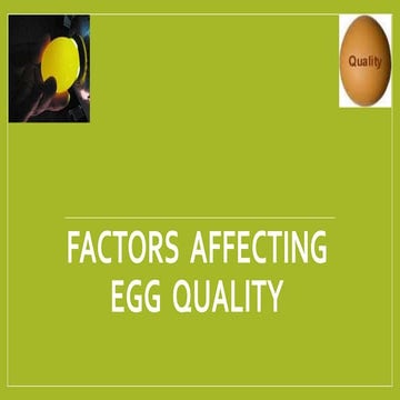 Factors affecting egg quality | PPTX