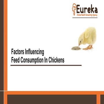 Factors Affecting Feed Consumption In Chicken.pptx