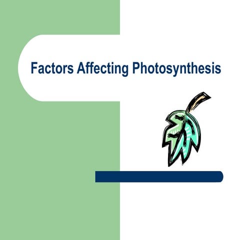 Factors affecting photosynthesis | PPT