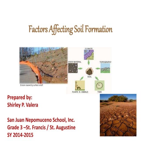 Factors affecting soil formation | PPTX