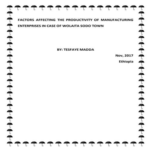 Factors affecting the productivity of manufacturing enterprises in case ...
