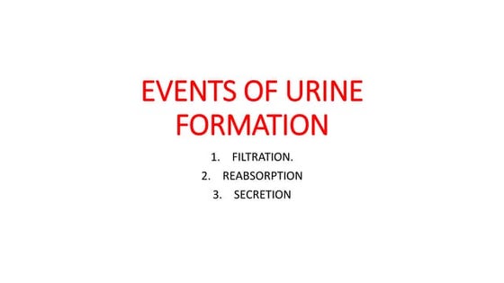 (2) histology of blood vessels | PDF