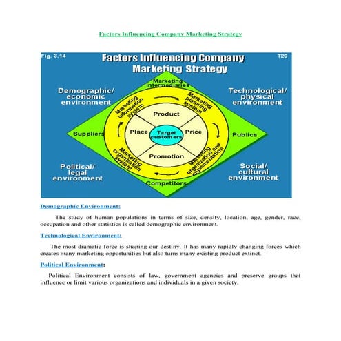 Factors influencing company marketing strategy | PDF