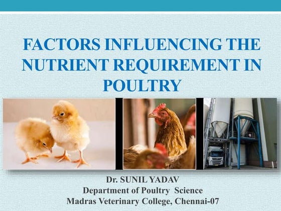 Systems of feeding poultry | PPTX