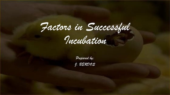 Incubation, hatching and brooding | PDF | Infertility | Reproductive Health