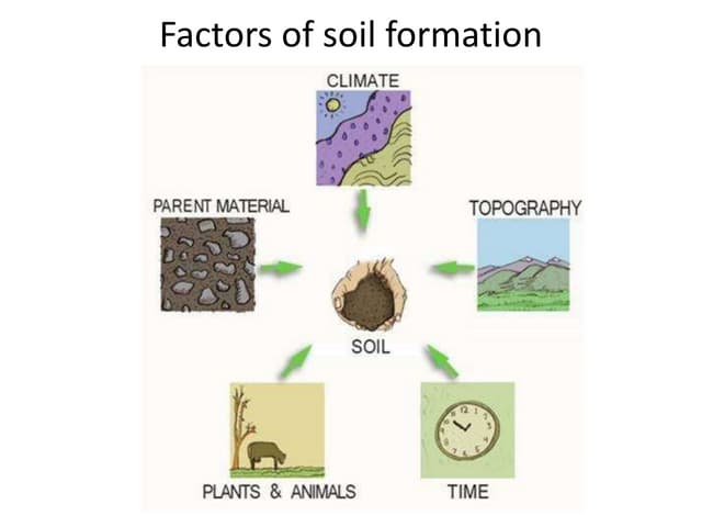 The Process of Soil Formation | PPTX