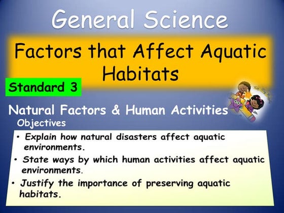 Equivalent Fractions | PDF