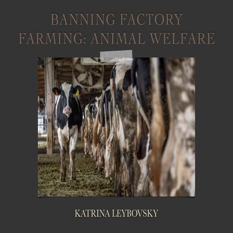 Factory | PDF