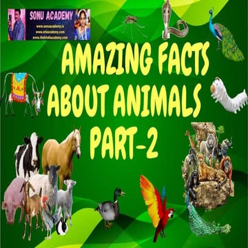 Amazing Facts about Animals -2 | Interesting facts | PPTX
