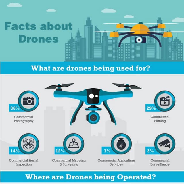 Facts About Drones | PDF