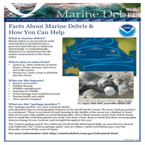Facts about marine debris international coastal cleanup day | PDF
