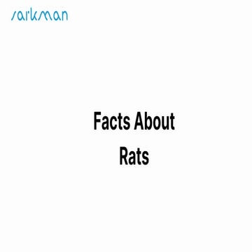 Facts About Rats | PPT
