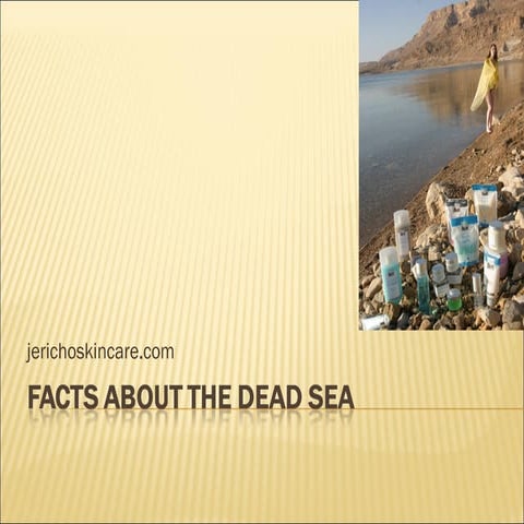 Facts About The Dead Sea | PPT