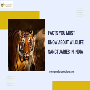 Facts You Must Know About Wildlife Sanctuaries In India.pdf