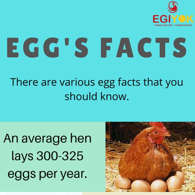Facts you should know about egg | PDF