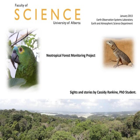 Neotropical Forest Monitoring Initiative - A Photo Perspective | PDF ...