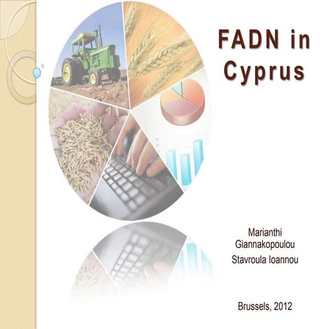 FADN in Cyprus | PPT