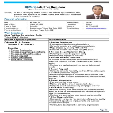 CDCCaminero_CV2017 | PDF