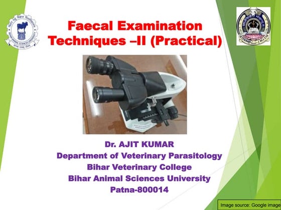 Fecal examination lab report | PDF