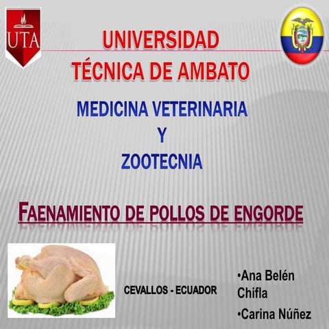 Proceso de Faenado en bovinos | PPTX