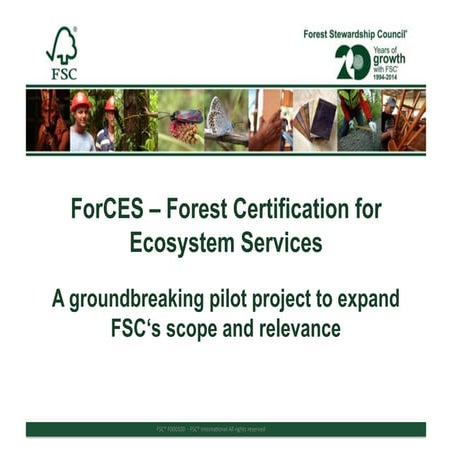 ForCES – Forest Certification for Ecosystem Services - A groundbreaking ...