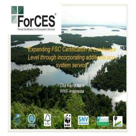 Expanding FSC Certification at Landscape Level through incorporating ...