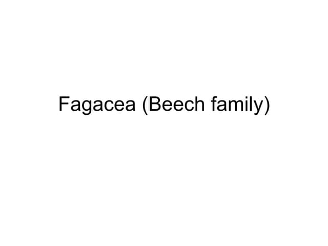 seed dispersal by explosive action | PPTX