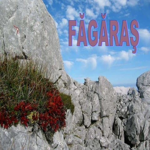 Fagaras Mountains | PPS