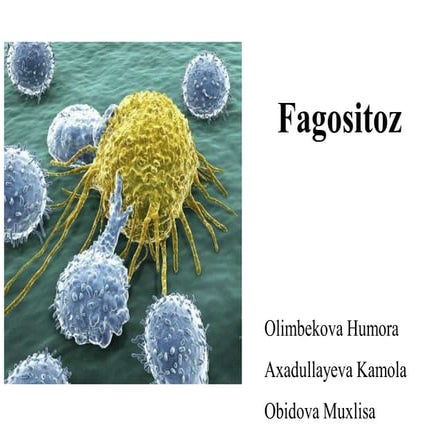 Fagositoz.pdf