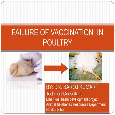 Vaccination in poultry | PDF