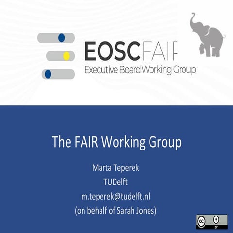 FAIR Working Group | PPT