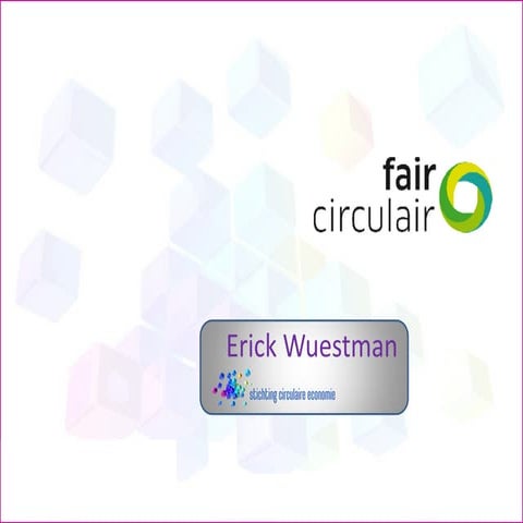 Erick Wuestman - Stichting Circulaire Economie | PPTX